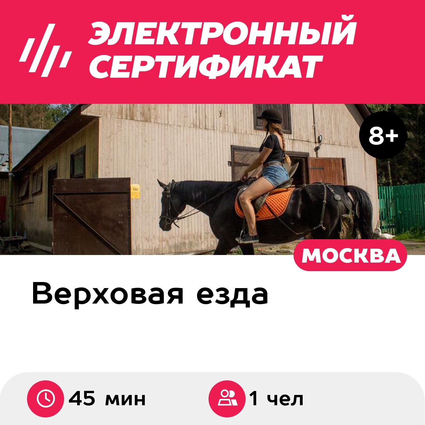 Подарочный сертификат Индивидуальное занятие верховой ездой на плацу для 1 человека (45 мин.)