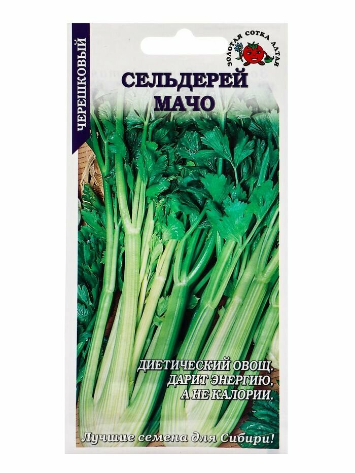 Семена Сельдерей черешковый Мачо , 0.5 г, Золотая Сотка Алтая