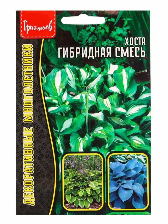 Семена цветов Хоста Гибридная Смесь 0,02 г. 12.29 г.
