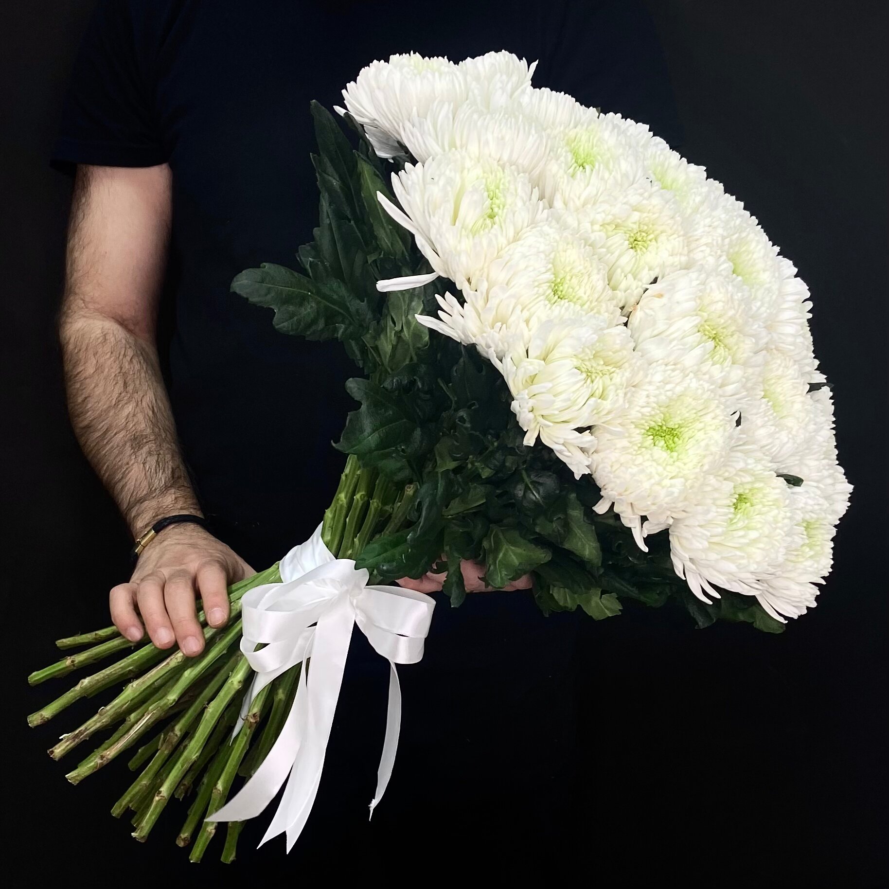 Букет из 35 белых одноголовых хризантем сорта «Антонов» под ленту