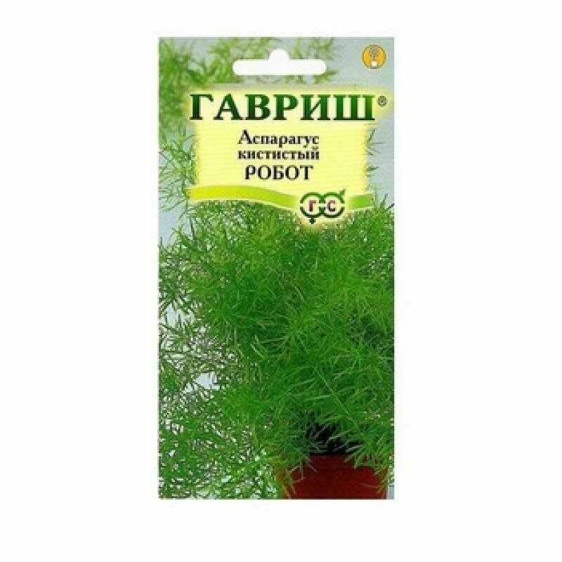 Семена Аспарагуса кистистого "робот" (0,3 г)