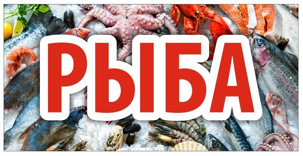 Баннер 1000х500 мм без люверсов информационный постер рыба белый