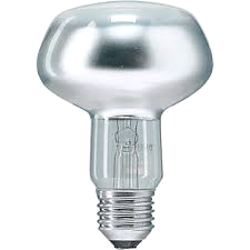 Лампа накаливания Philips 871150006652715