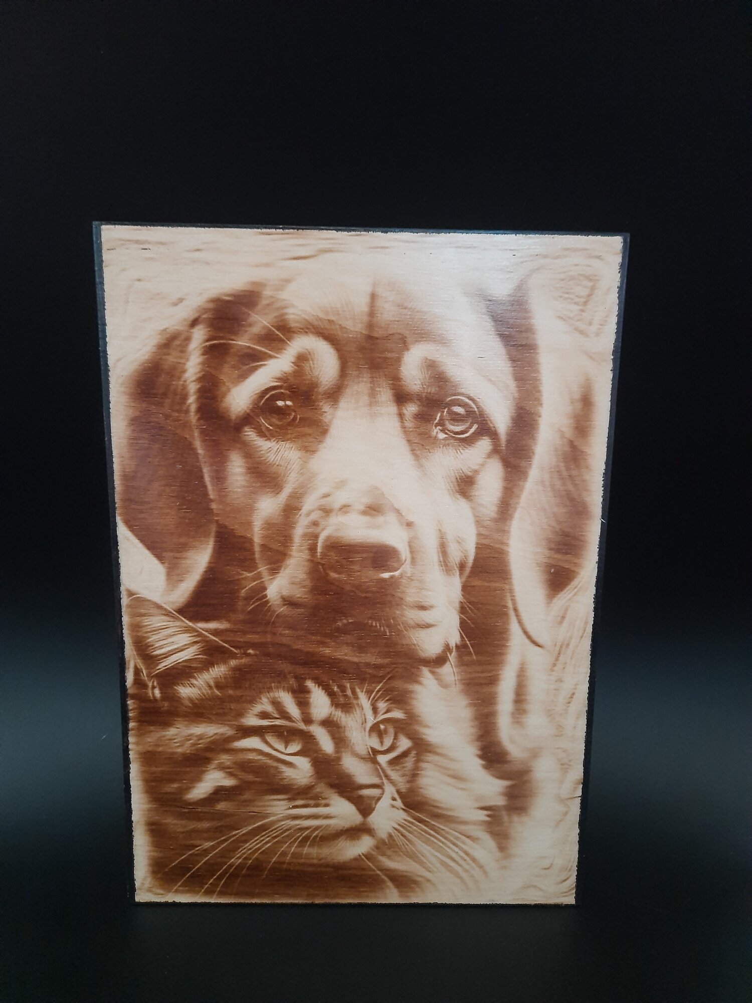 Картина на дереве " Дружба " выжженная картина на шпоне дерева, формат А4 21х30 см