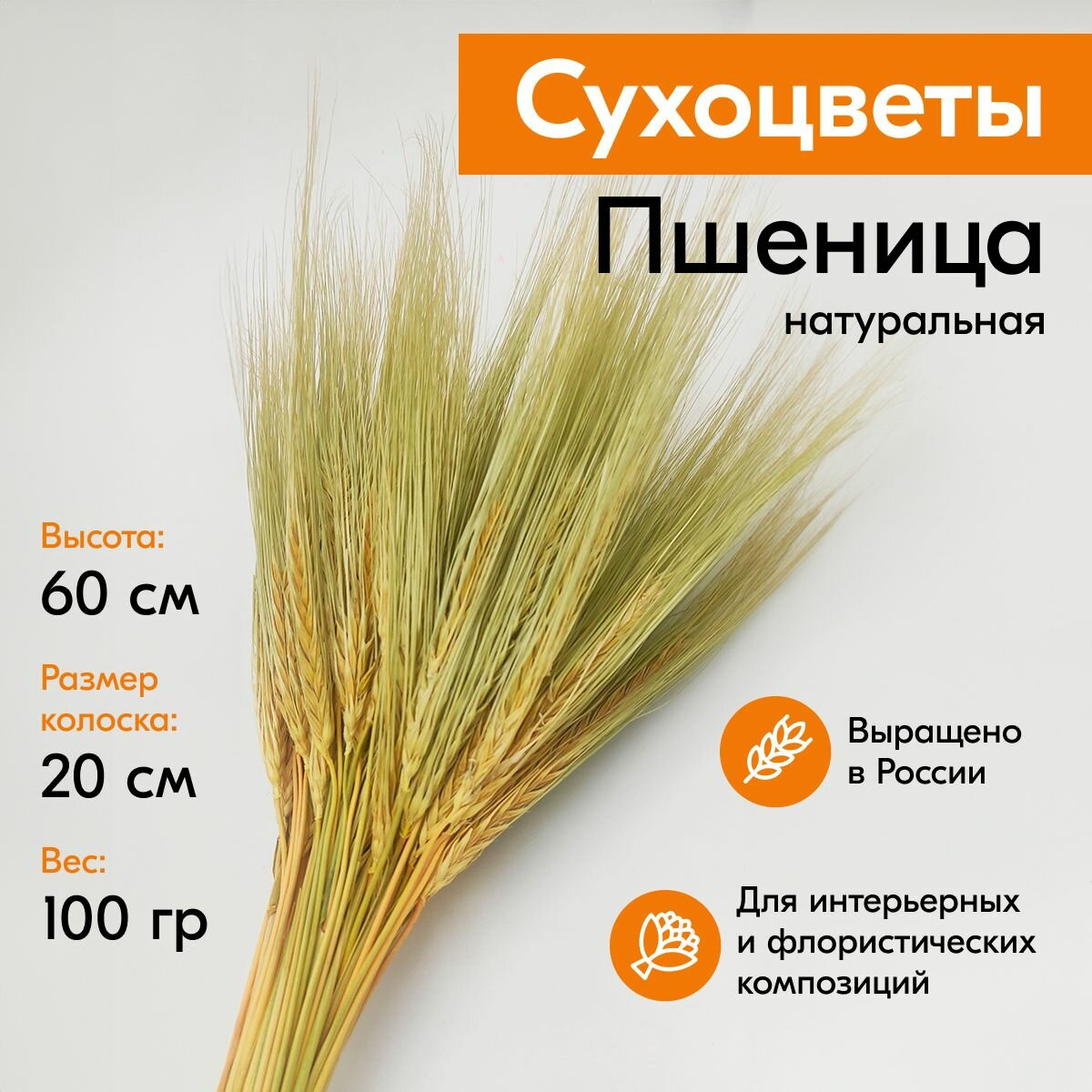 Сухоцвет пшеница натуральная "Экстра" для декора