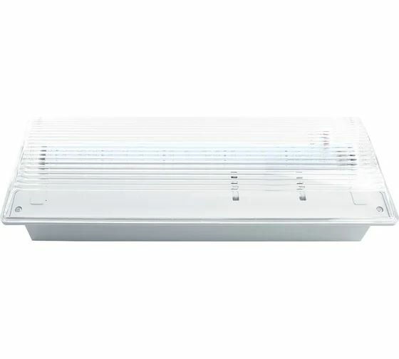 Аварийный светильник FERON 20 LED AC/DC, белый, EM100 41535 от ELEMENTX