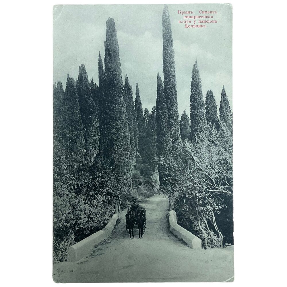 Почтовая открытка "Симеиз. Кипарисовая аллея у пансиона Дольник" 1900-1917 гг. Российская Империя
