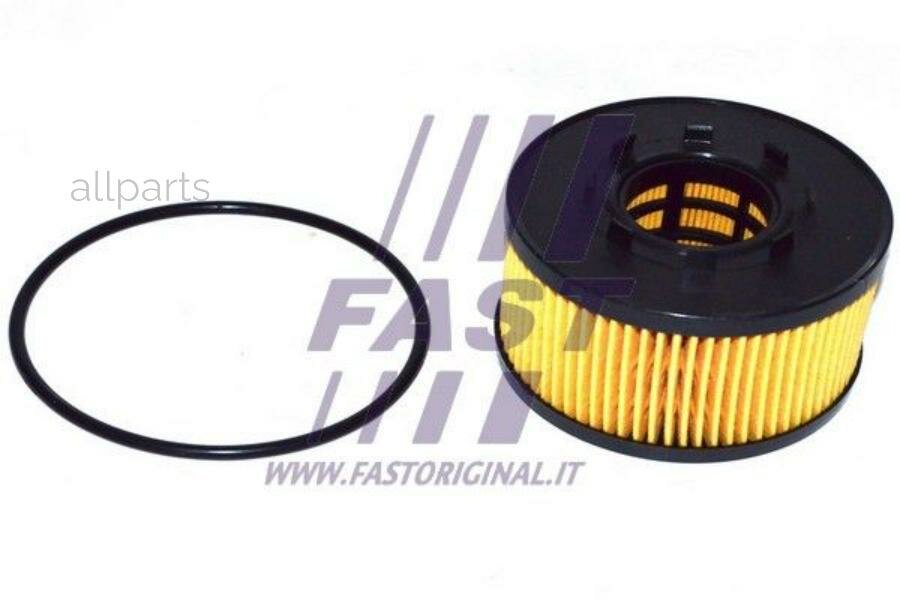 FAST FT38086 фильтр масляный FORD TRANSIT 00> 2.0 D/2.0 TDCI