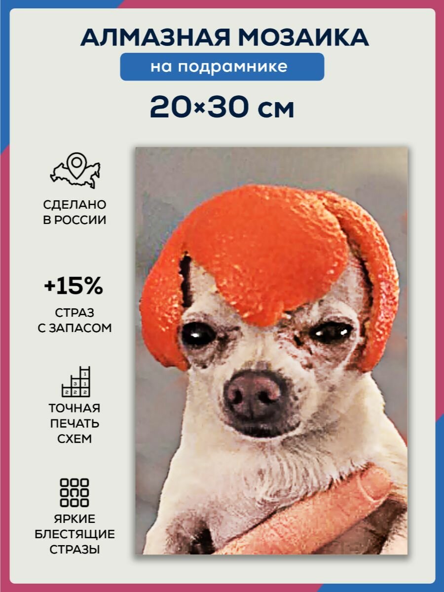 Алмазная мозаика 20x30 Чихуахуа смешная на подрамнике
