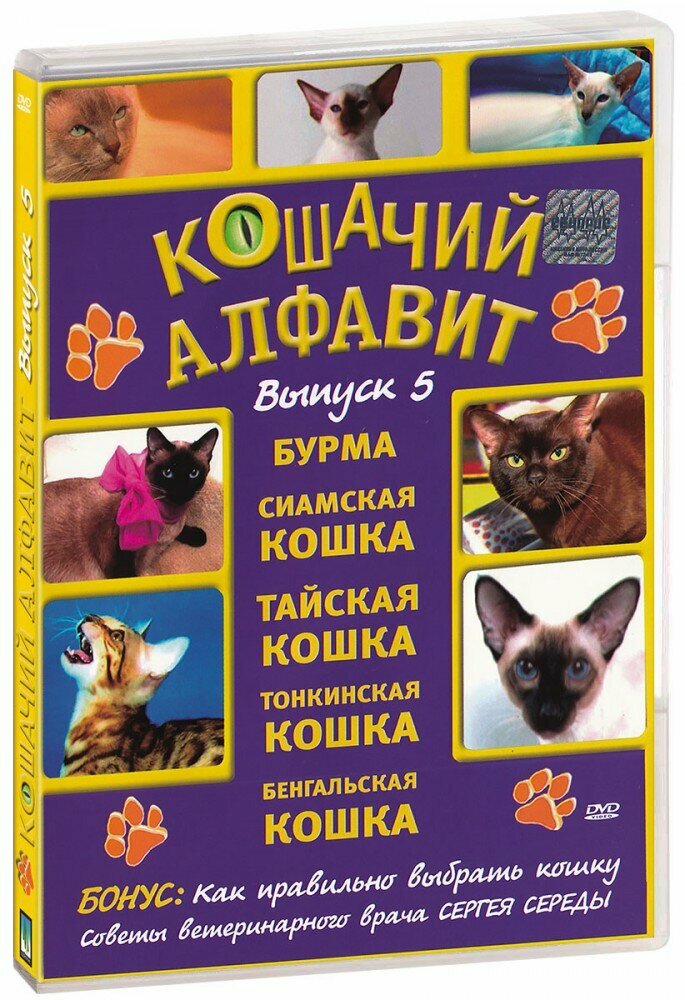 Кошачий алфавит. Выпуск 5 (DVD) (2009 год, ДВД диск, DVD Box)