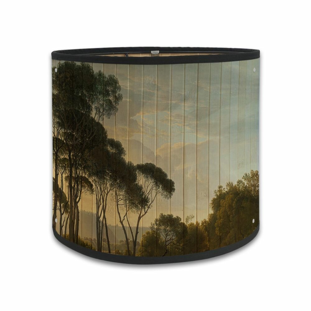 Барабанный абажур для настольной лампы торшера люстры, винтажный с рисунком птиц, сменный плафон, размер 30x30x30 см