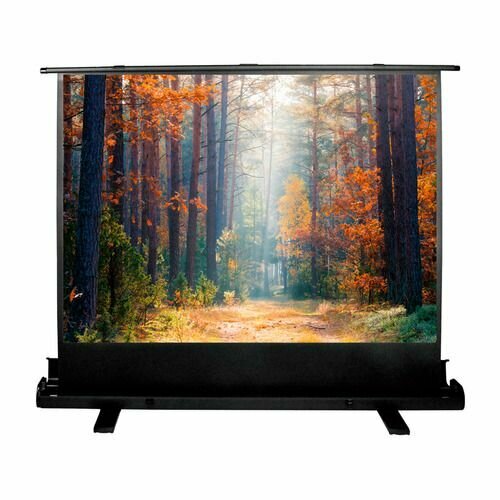 Экран Cactus FloorExpert CS-PSFLE-180X135, 180х135 см, 4:3, напольный