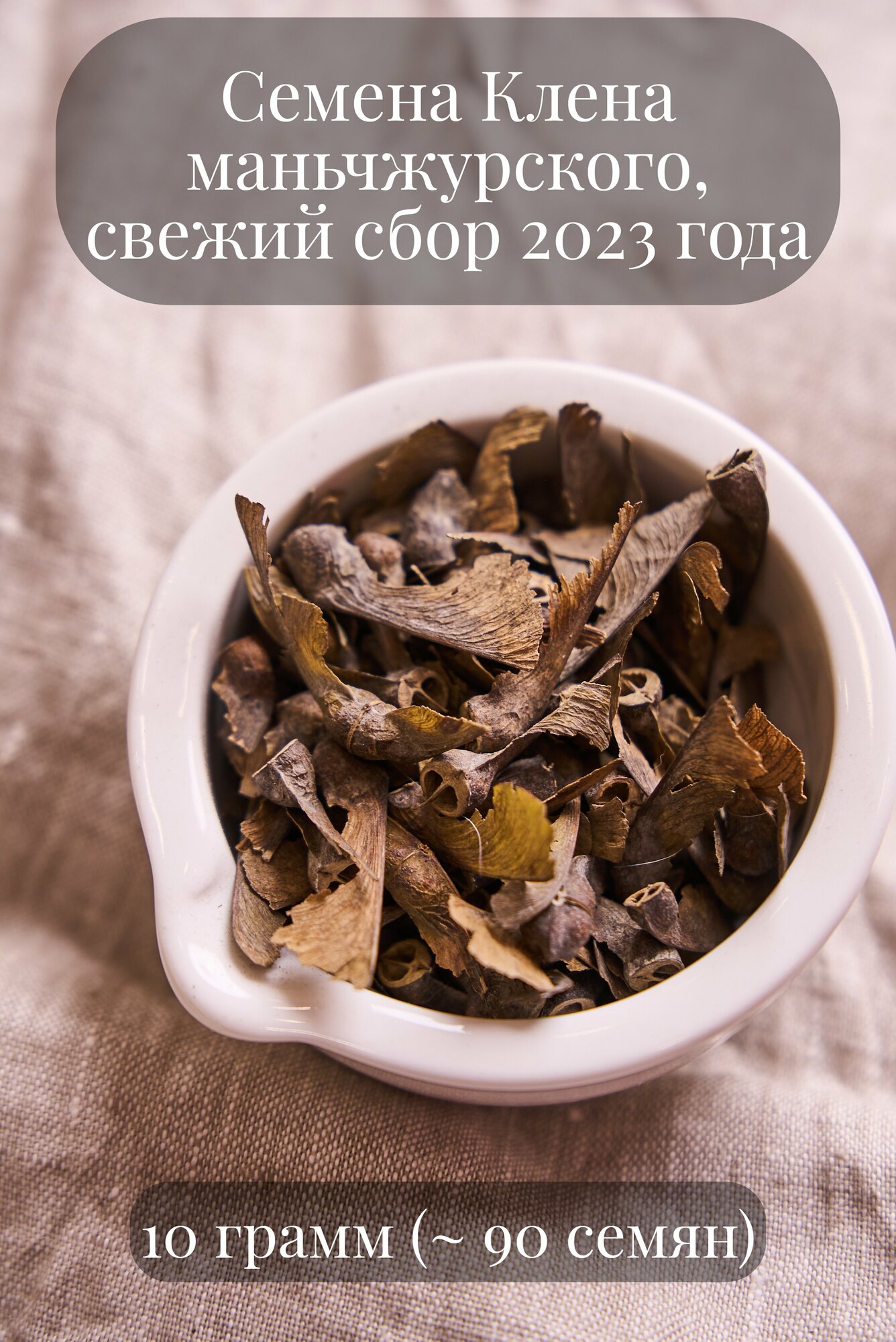 Семена Клена маньчжурского, медонос, 10 грамм (примерно 90 шт)