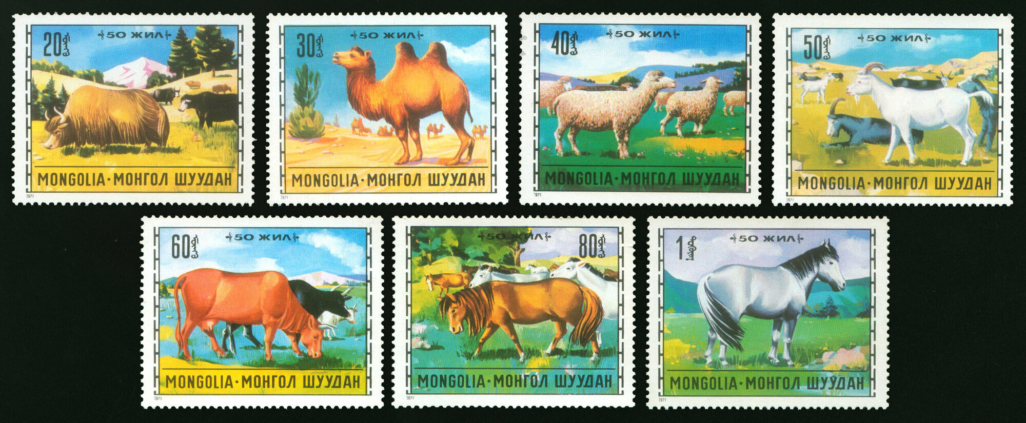 Почтовые марки Монголия 1971г. "Животноводство" Коровы, Лошади, Верблюды MNH