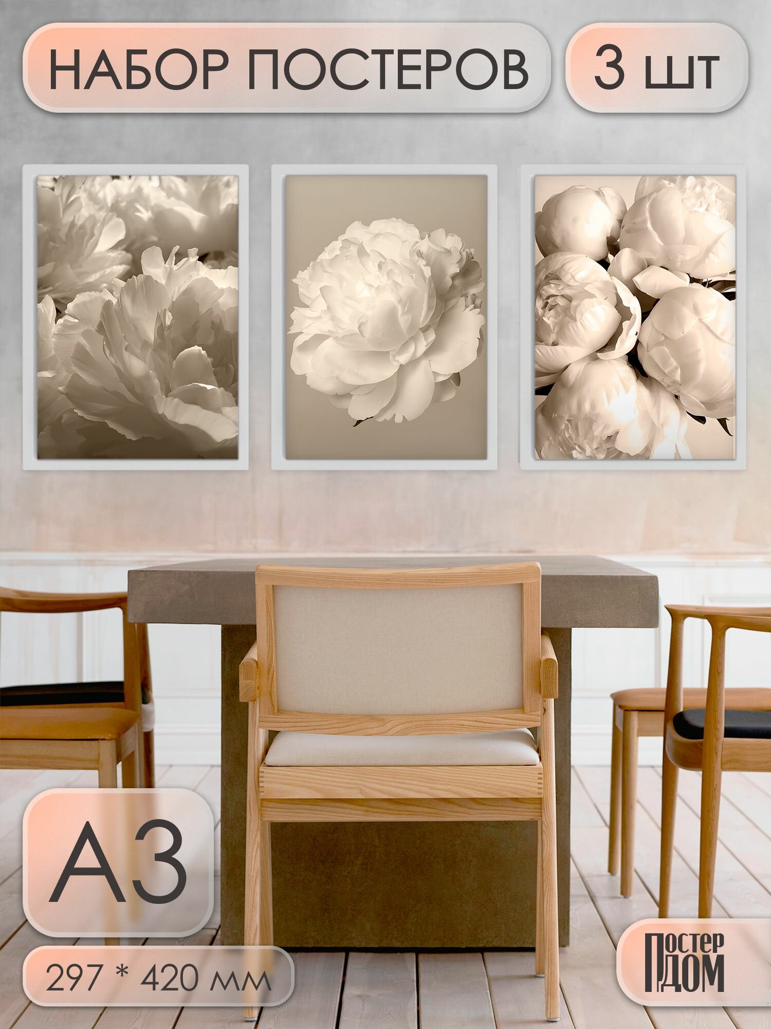Постеры интерьерные на стену эстетика белые пионы