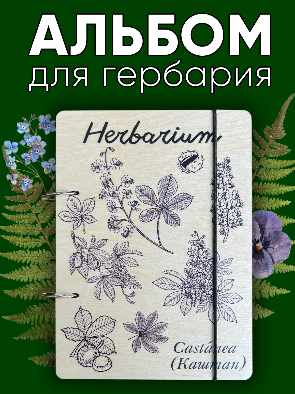 Альбом для гербария и коллекционирования трав, цветов и растений "Каштан" с калькой