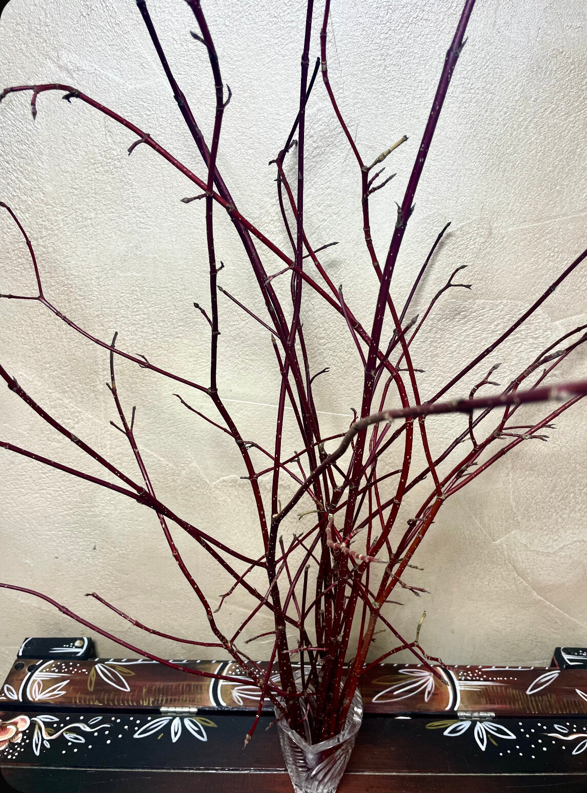 Ветки натуральные красные. Декор интерьера 10 шт.