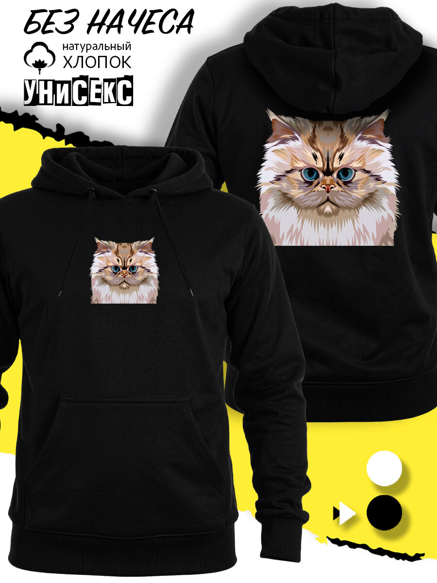 Худи Толстовка свитшот с котиком персидским