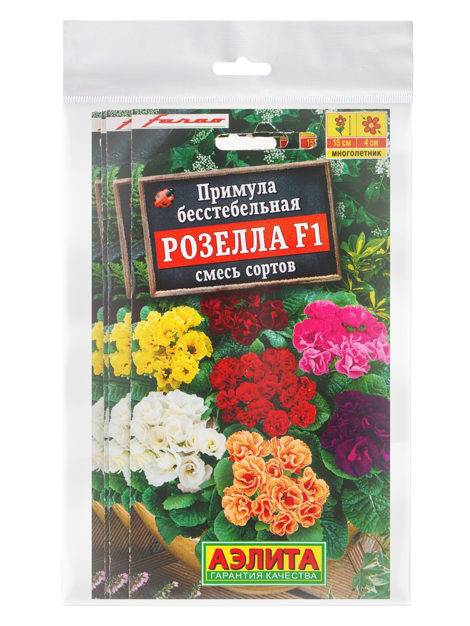 Набор семян Примула "Розелла", смесь окрасок, F1, 4 шт.