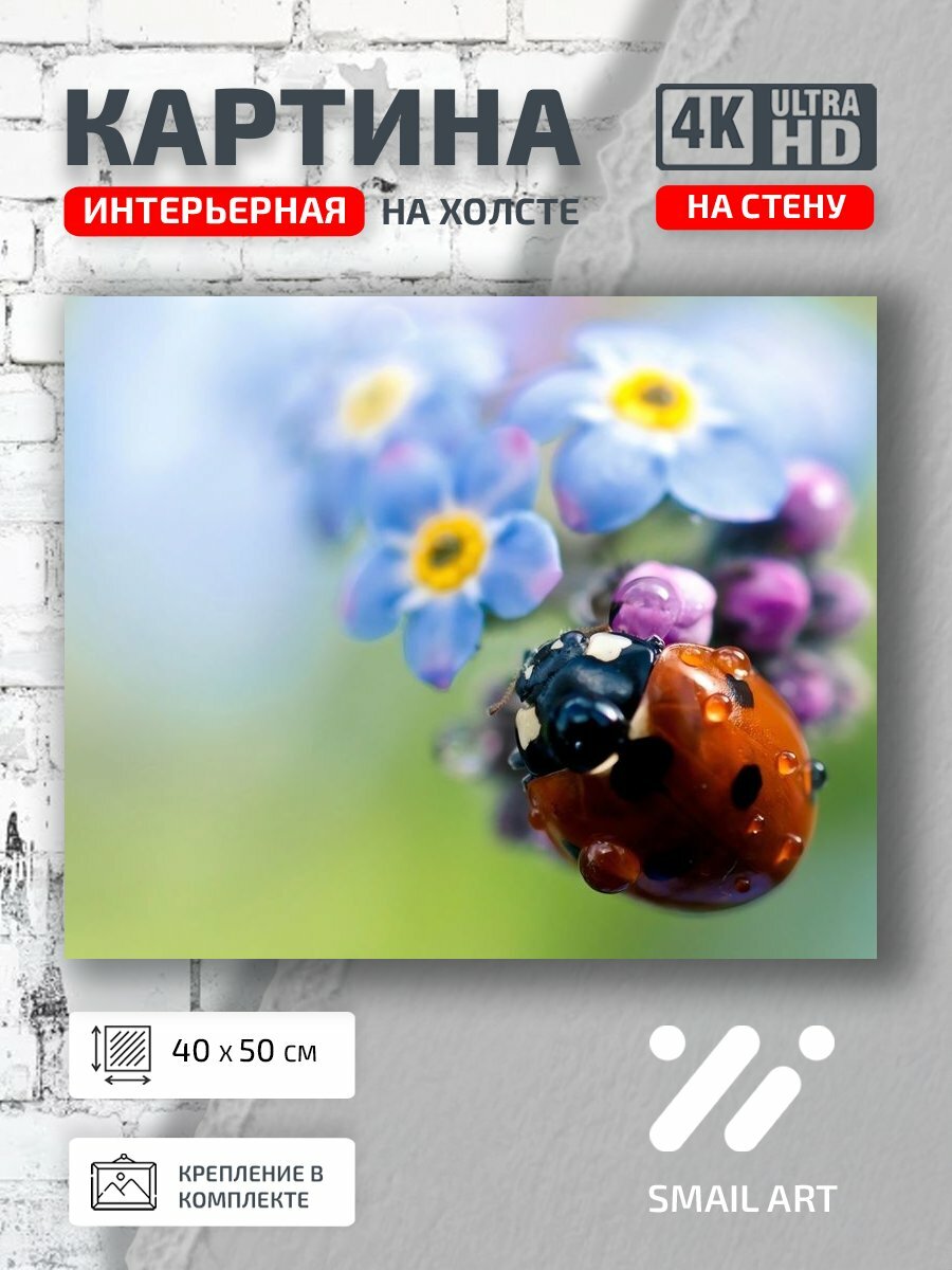 Картина на холсте интерьерная 40 на 50 на стену Цветы Macro для кабинета макро интерьер