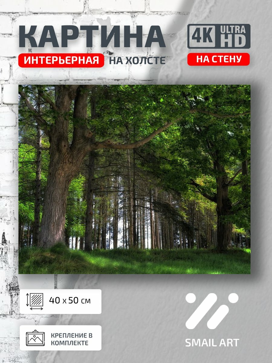 Картина на холсте интерьерная 40 на 50 на стену Лес Landscape для гостиной пейзаж интерьер