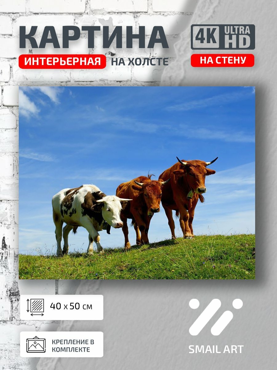 Картина на холсте интерьерная 40 на 50 на стену Поляне Mood для офиса атмосфера интерьер