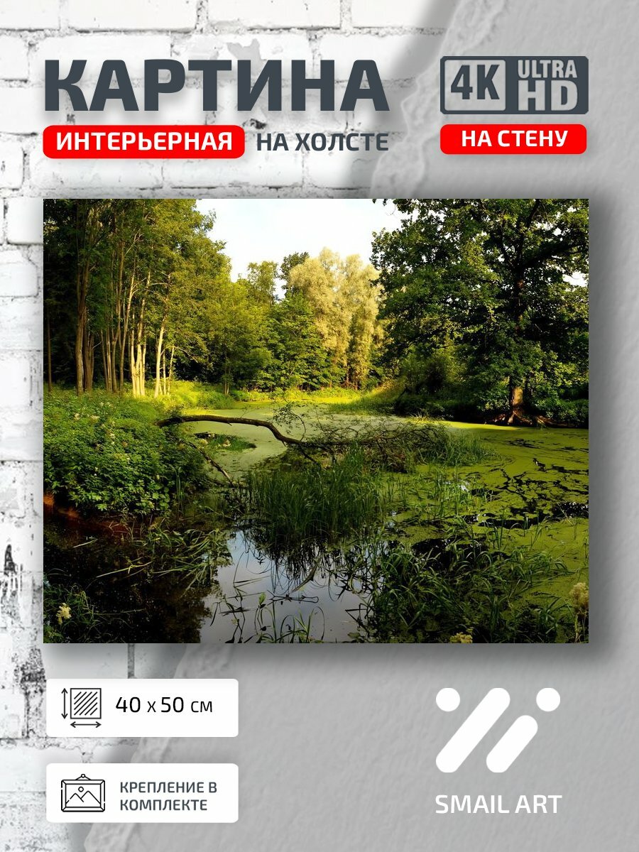 Картина на холсте интерьерная 40 на 50 на стену Болото Landscape для кабинета пейзаж декор