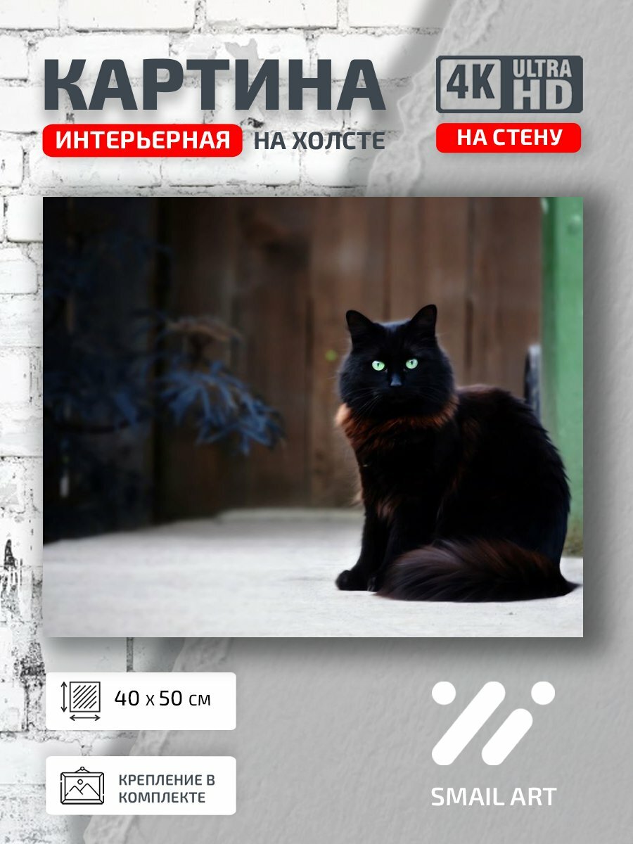 Картина на холсте интерьерная 40 на 50 на стену Пол Animal для спальни animal style декор