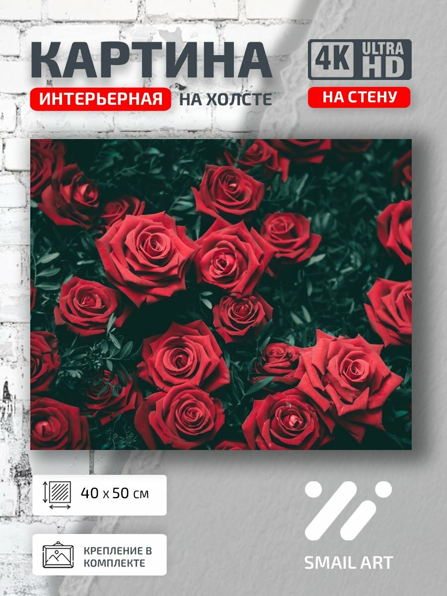 Картина на холсте интерьерная 40 на 50 на стену Роза Mood для гостиной атмосфера интерьер