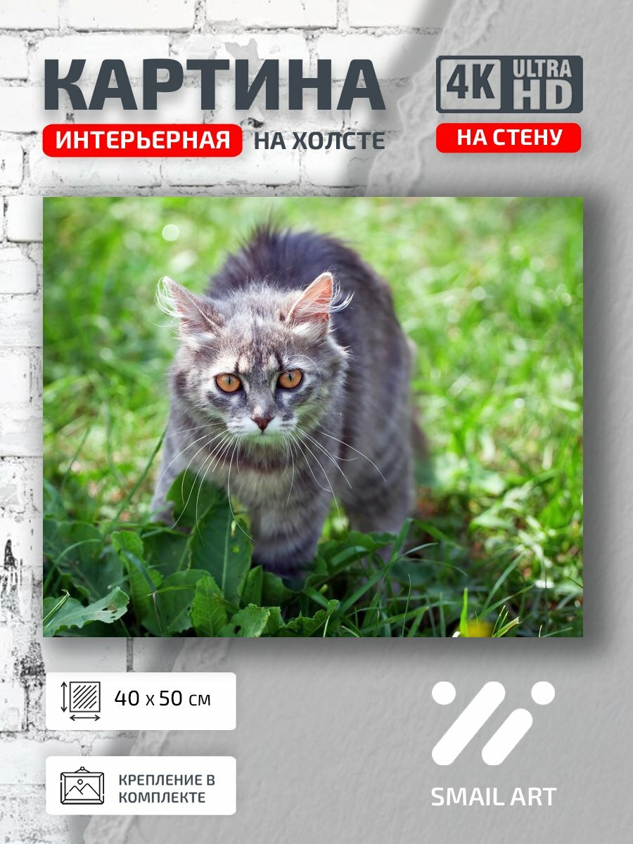 Картина на холсте интерьерная 40 на 50 на стену Траве Animal для детской animal style декор