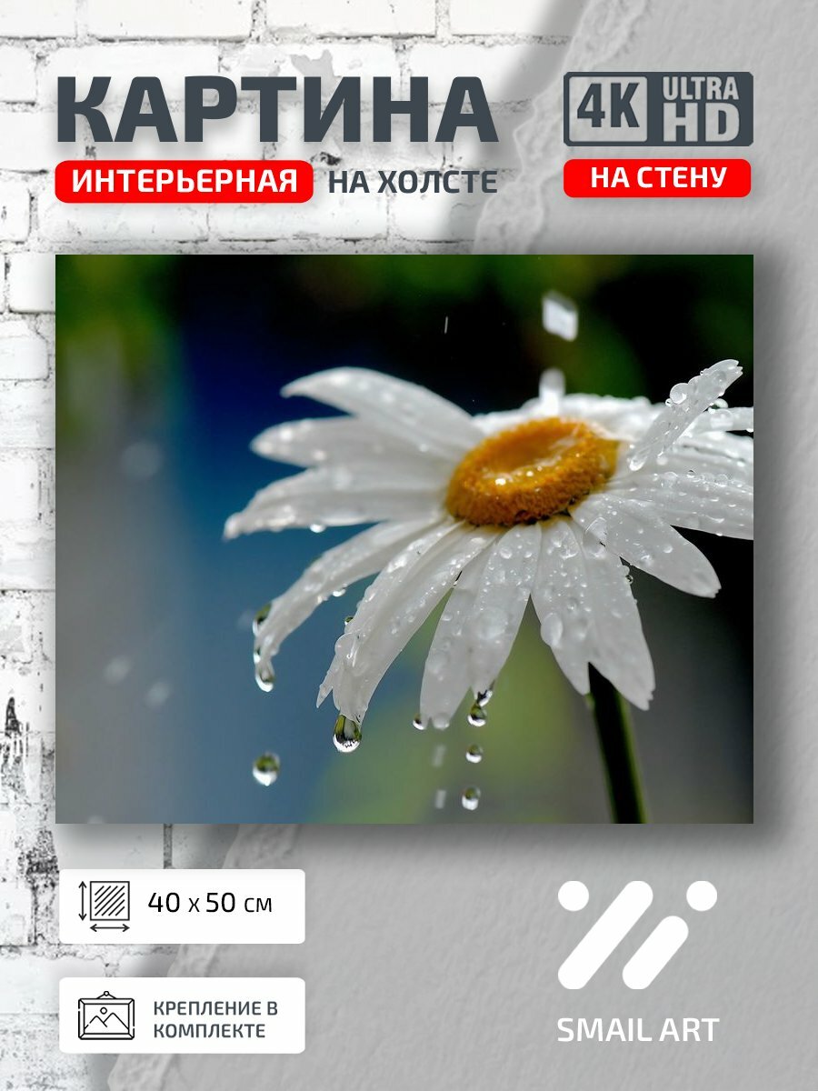 Картина на холсте интерьерная 40 на 50 на стену Капли Landscape для гостиной пейзаж декор