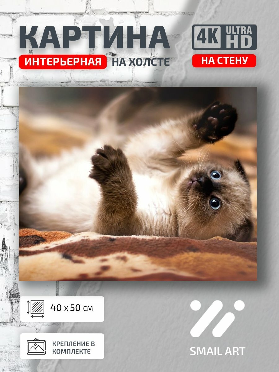 Картина на холсте интерьерная 40 на 50 на стену Играется Animal для детской animal style