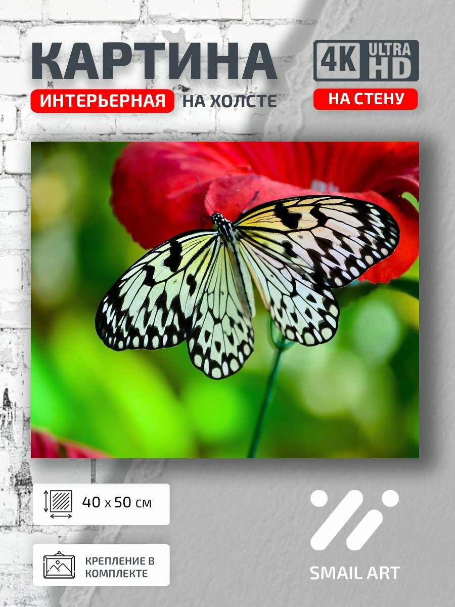Картина на холсте интерьерная 40 на 50 на стену Бабочка Mood для офиса атмосфера интерьер