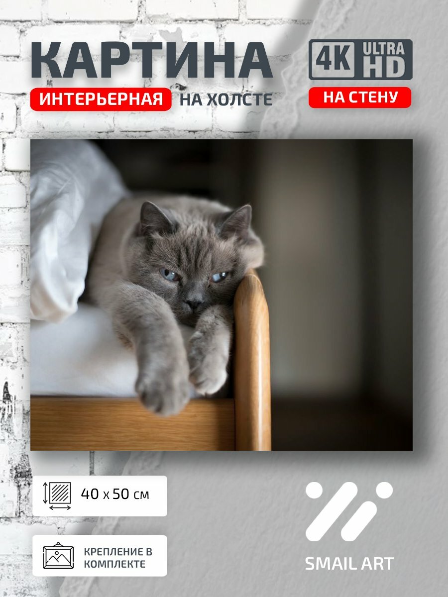 Картина на холсте интерьерная 40 на 50 на стену Одеяло Animal для детской animal style