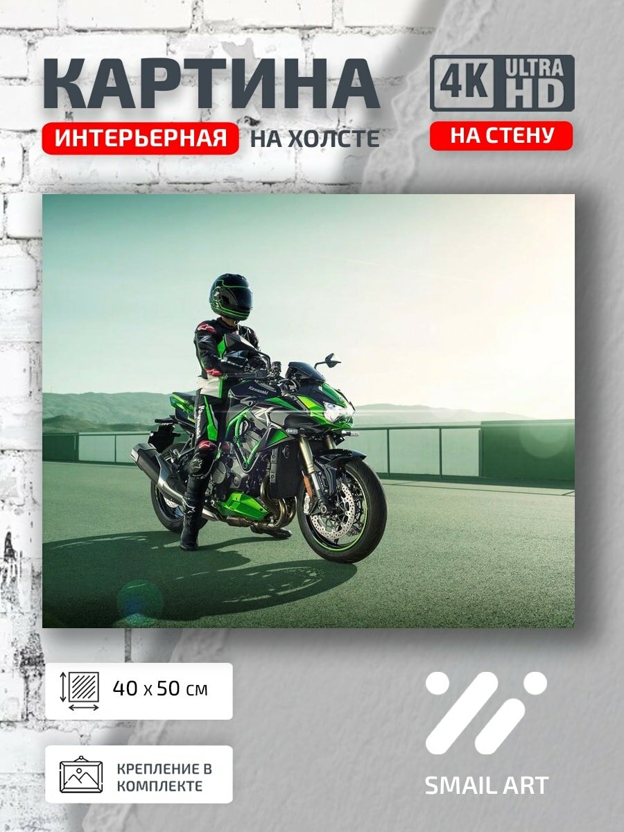 Картина на холсте интерьерная 40 на 50 на стену SE Biker для кабинета атмосфера