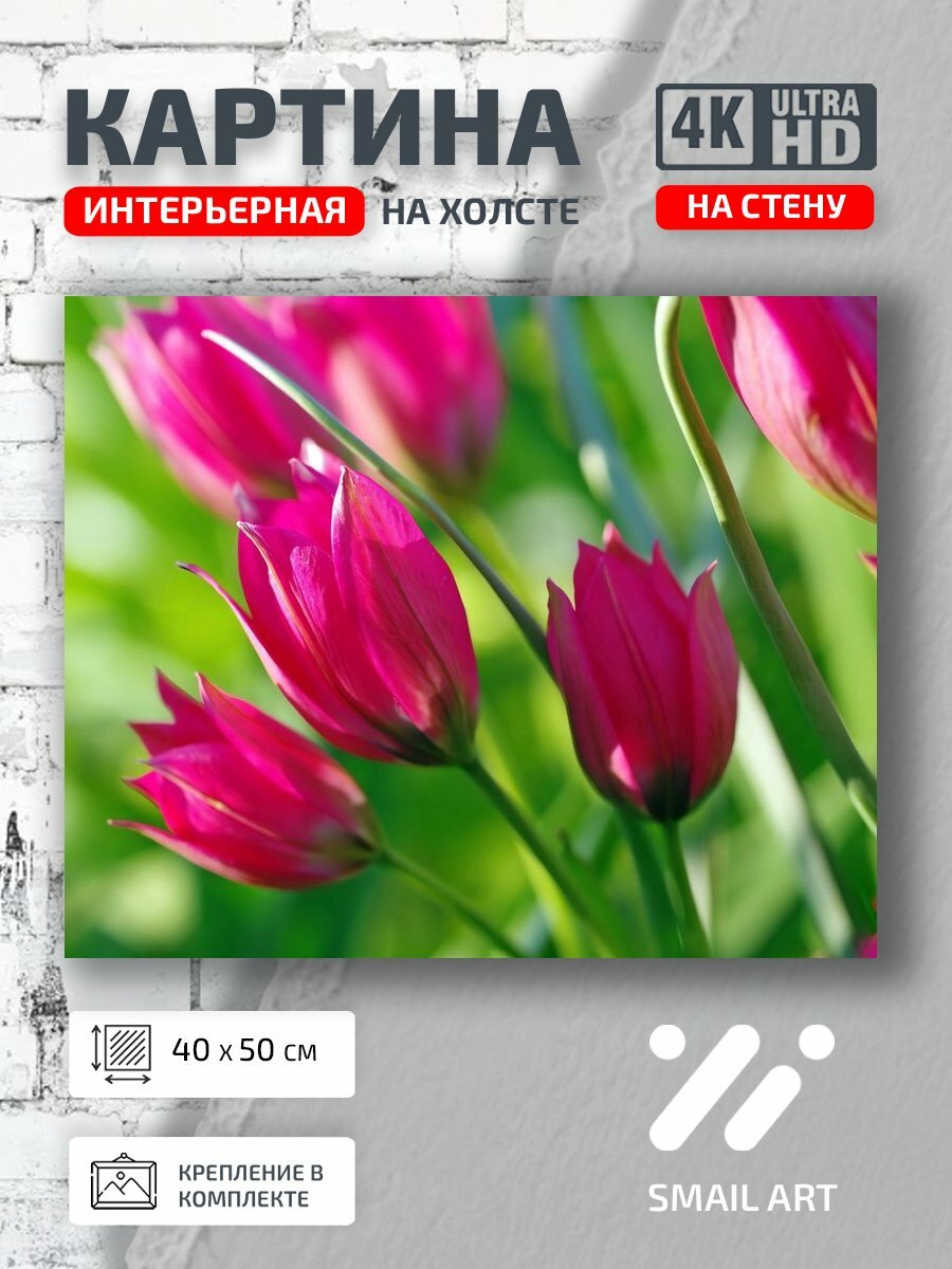 Картина на холсте интерьерная 40 на 50 на стену Весна Mood для студии атмосфера интерьер