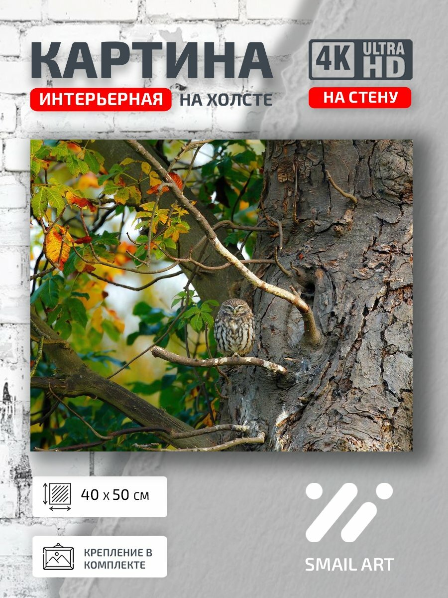 Картина на холсте интерьерная 40 на 50 на стену Дерево Landscape для спальни пейзаж декор