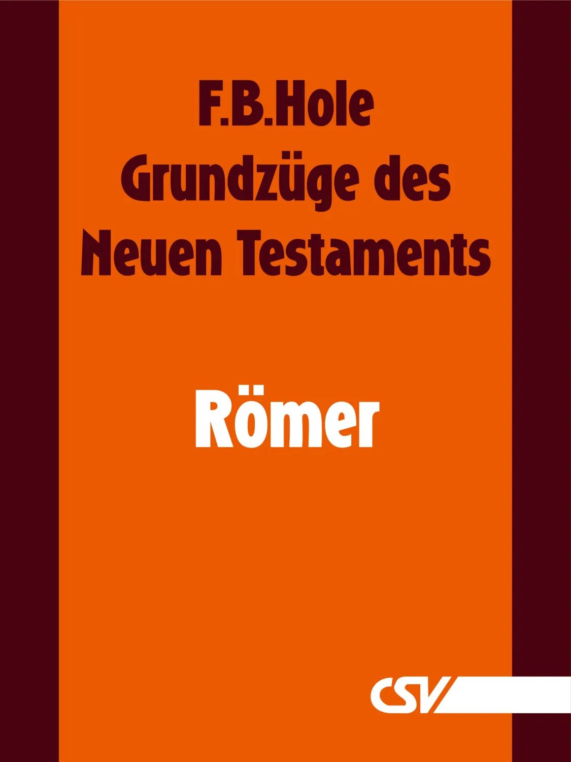 Grundzüge des Neuen Testaments - Römer [Цифровая книга]