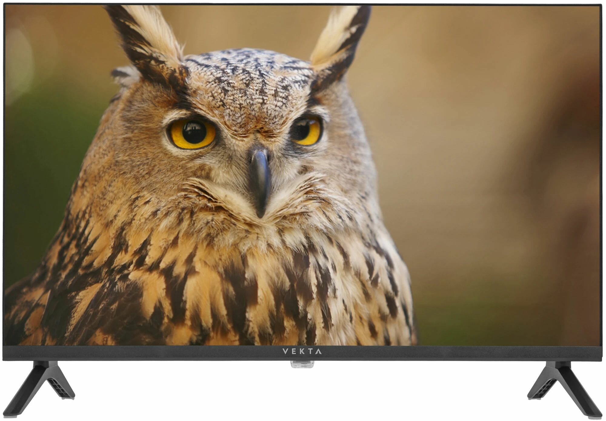 24" (60 см) Телевизор Vekta LD-24TR4350BT серый