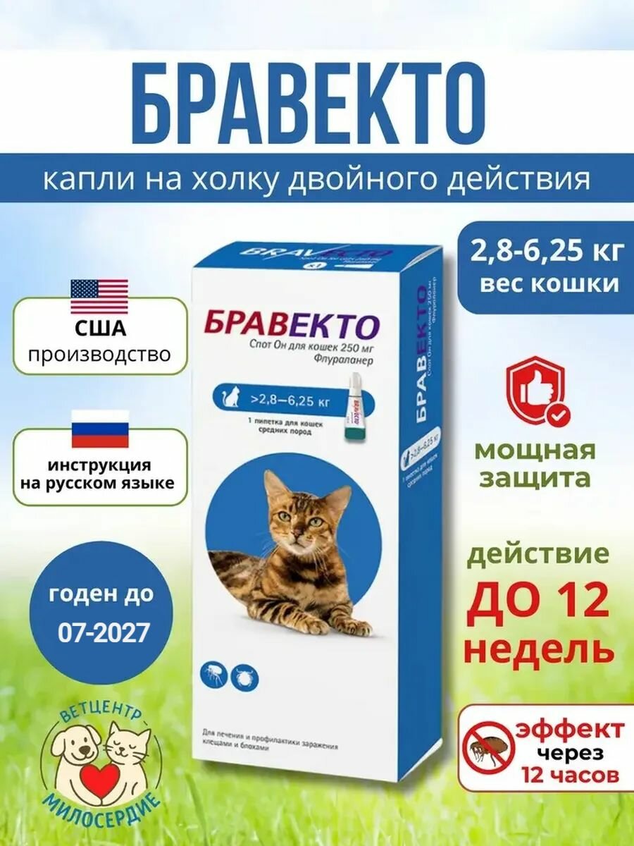 Бравекто Спот он капли 250 мг для кошек капли на холку от блох и клещей 1 пипетка MSD