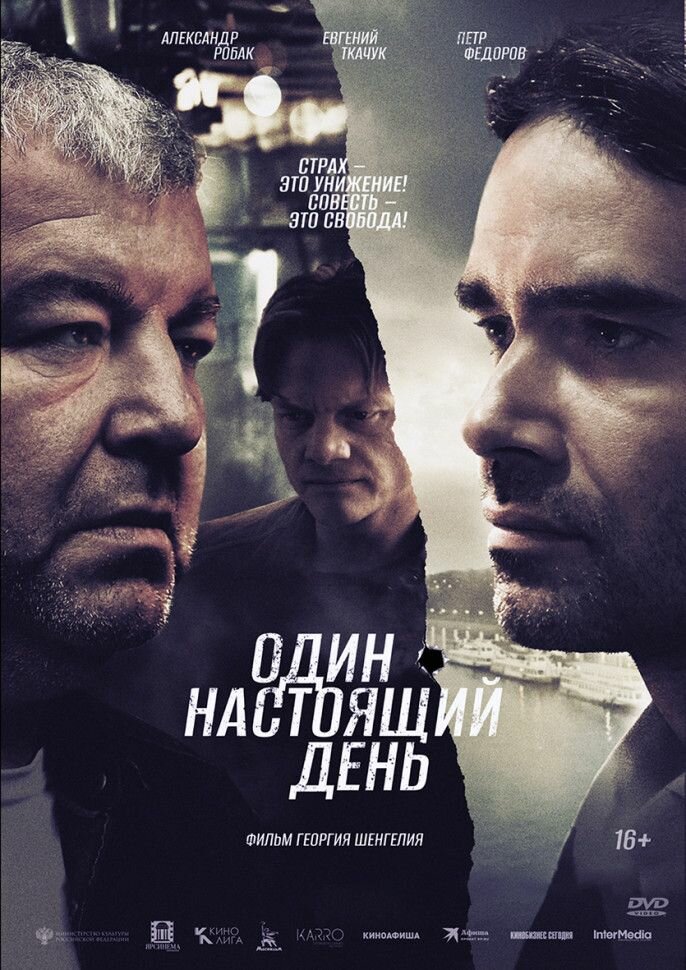 Один настоящий день (DVD)