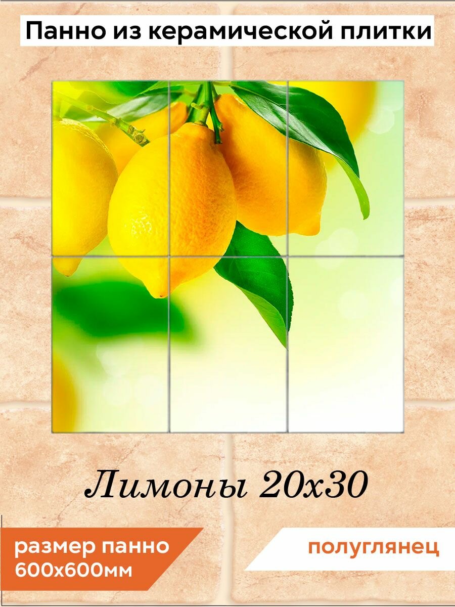 Панно из плитки Fres-co "Лимоны 20х30", керамическое, декоративное, полуглянцевое, 60x60 см