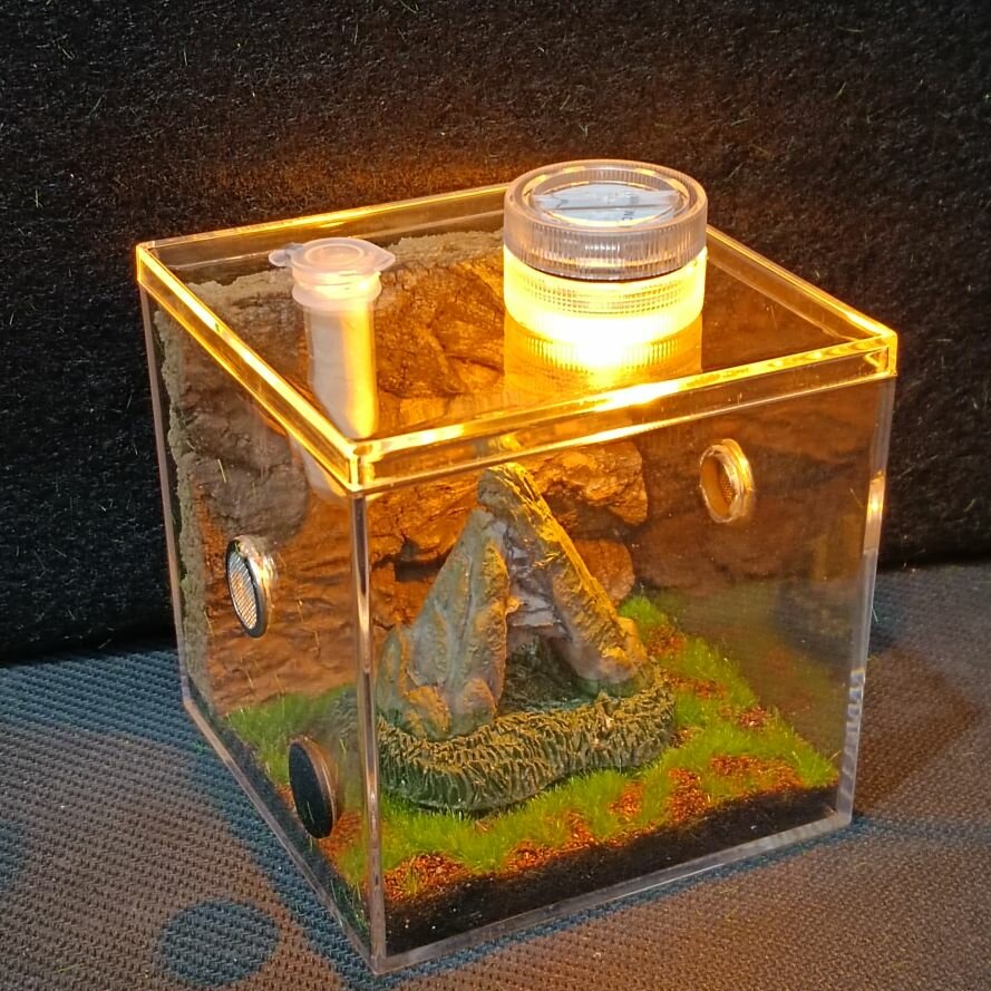 Террариум для пауков с щипцами-капельницами, клетка для улиток, вольер для сверчков, среда обитания древесных тарантулов