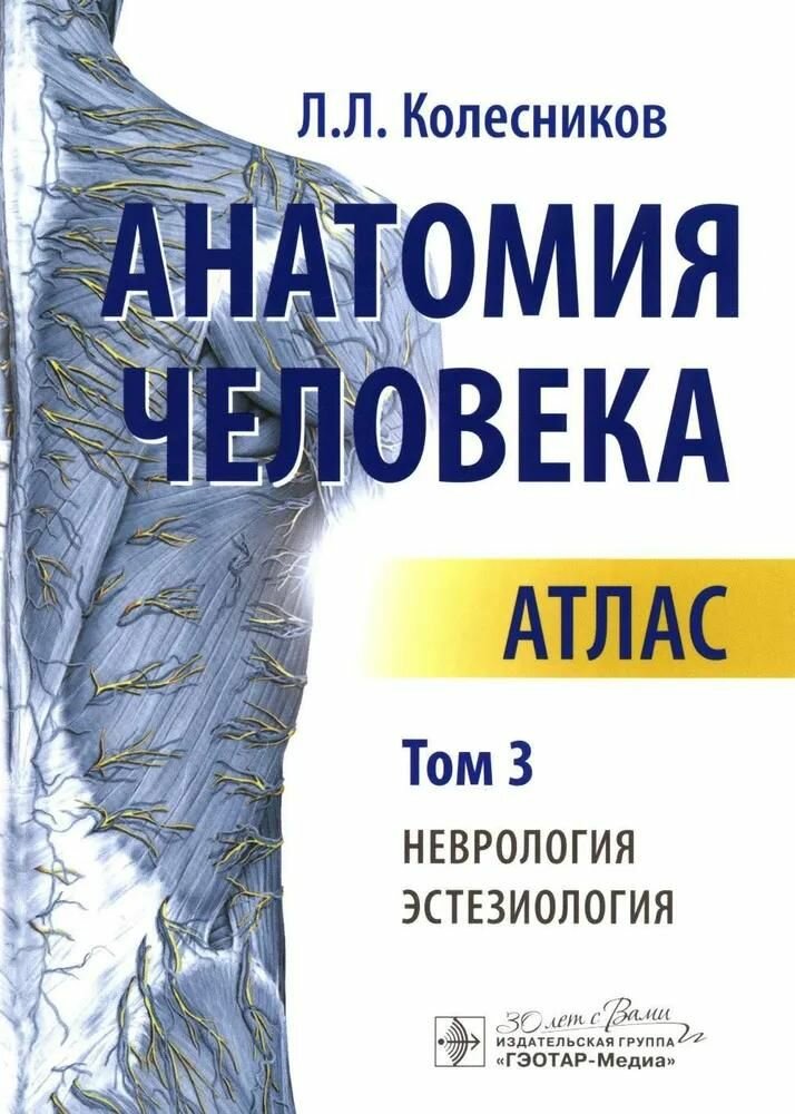 Атлас медицинский гэотар-медиа Анатомия человека. В 3 томах: Неврология, эстезиология. Колесников Л. Л, 2024