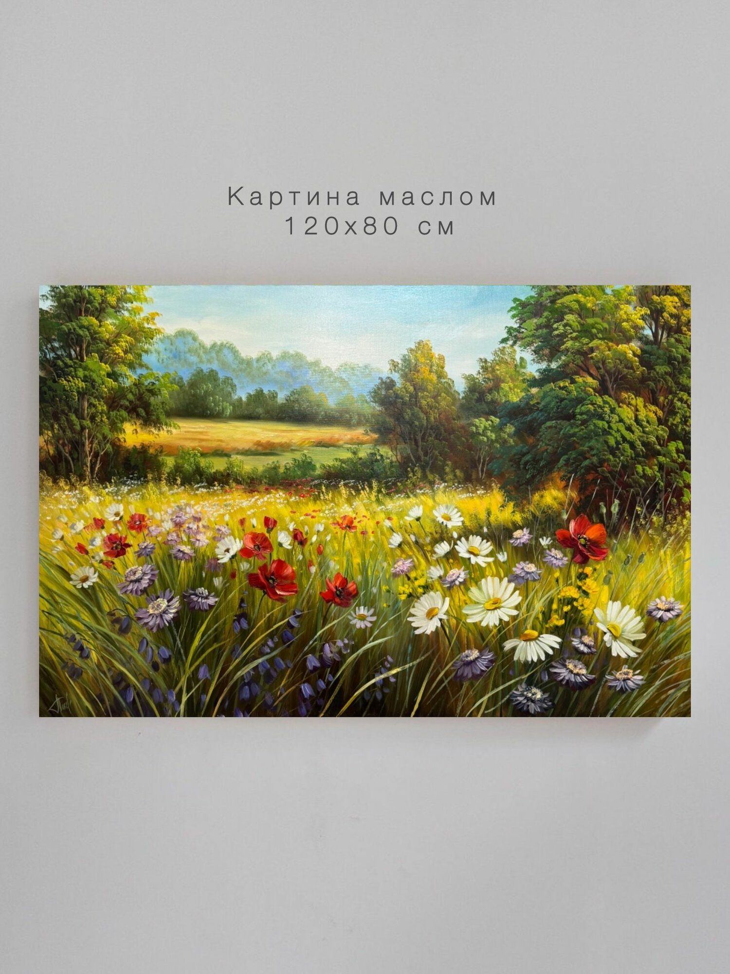 Большая картина маслом Цветочное поле, маки ромашки 120х80 см. 100% ручная работа. Художественная мастерская Грёзы.