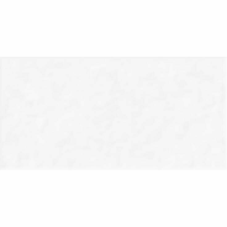 Керамическая плитка Alma Ceramica Discover TWU2550DCV00 24.9x50 Глянцевая Белый