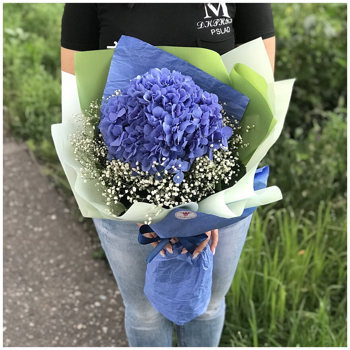 Синяя гортензия в упаковке