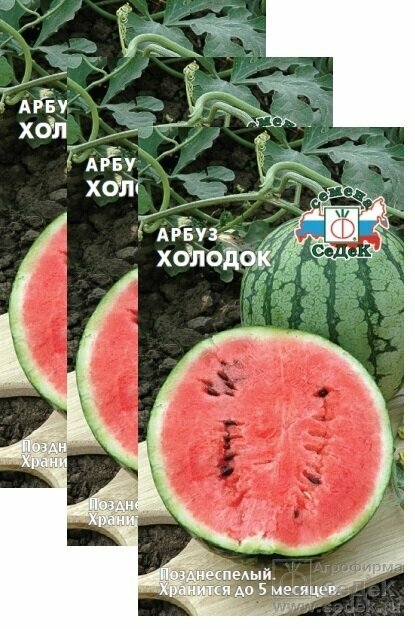 Семена арбуза СеДеК "Холодок", однолетние, 3 упаковки по 1 г
