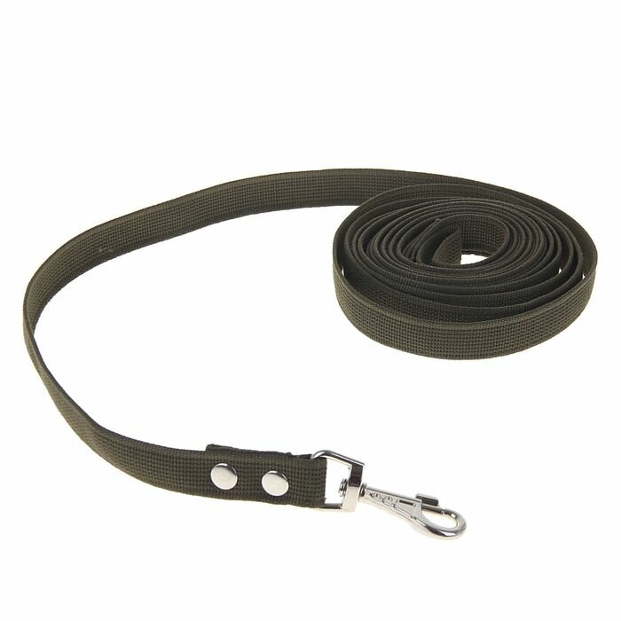 Поводок брезентовый для собак 5 м х 2,5 см, тёмно-зелёный 1276152