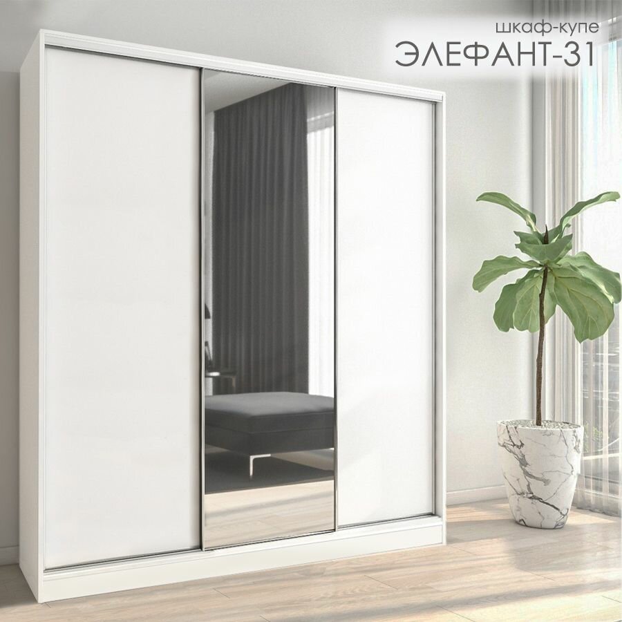Шкаф-купе Элефант-31